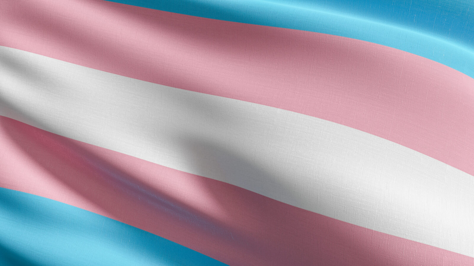 Honoring Trans History Awareness Week | Rainbow History Project